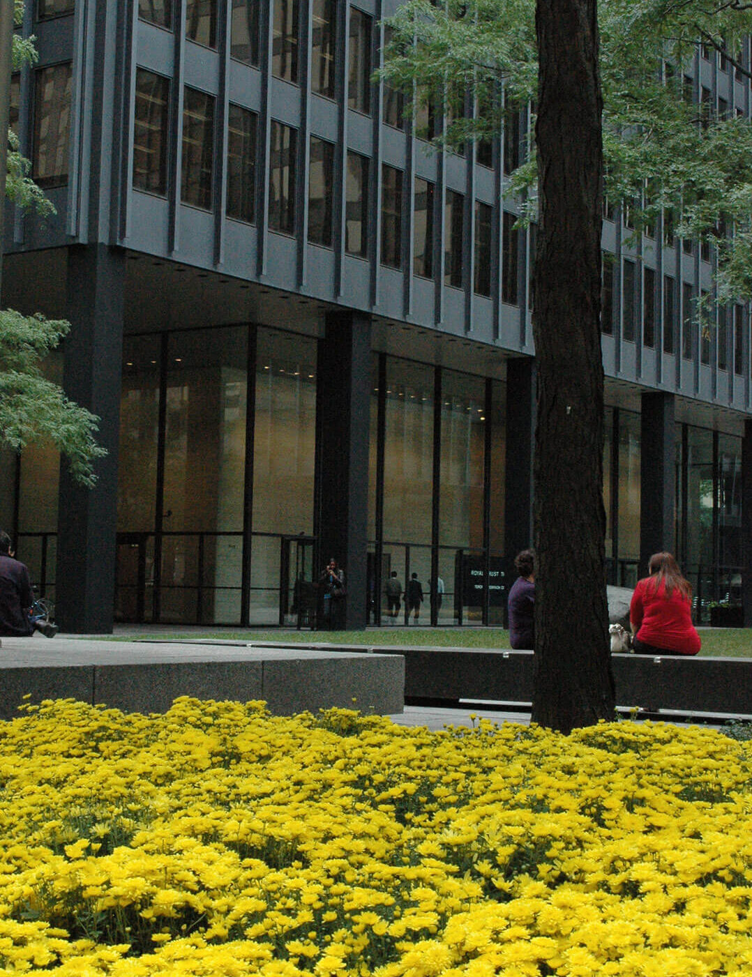 TD Centre Plaza Revitalization – Janet Rosenberg & Studio