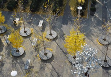 Town Hall Square – Janet Rosenberg & Studio