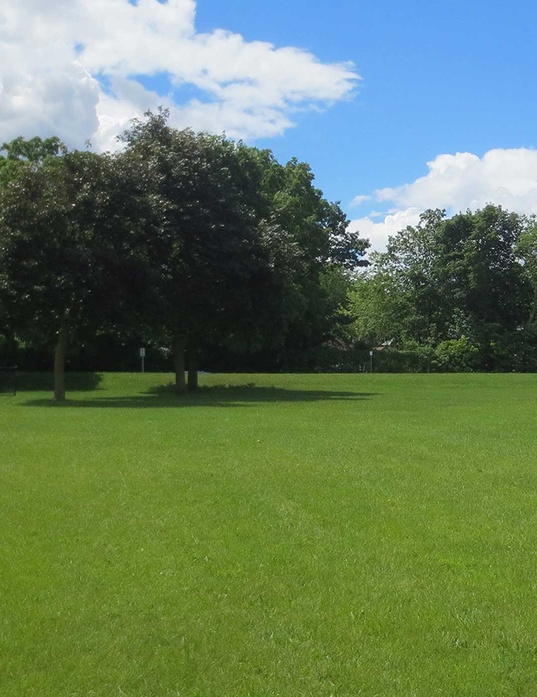 Town Park Master Plan – Janet Rosenberg & Studio