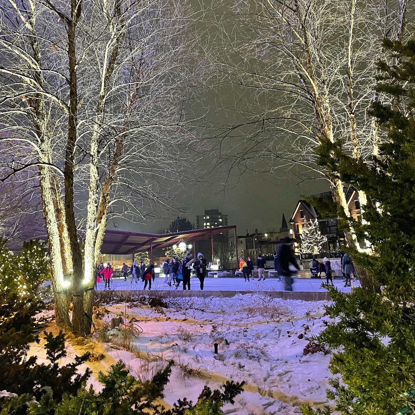 Janet Rosenberg & Studio