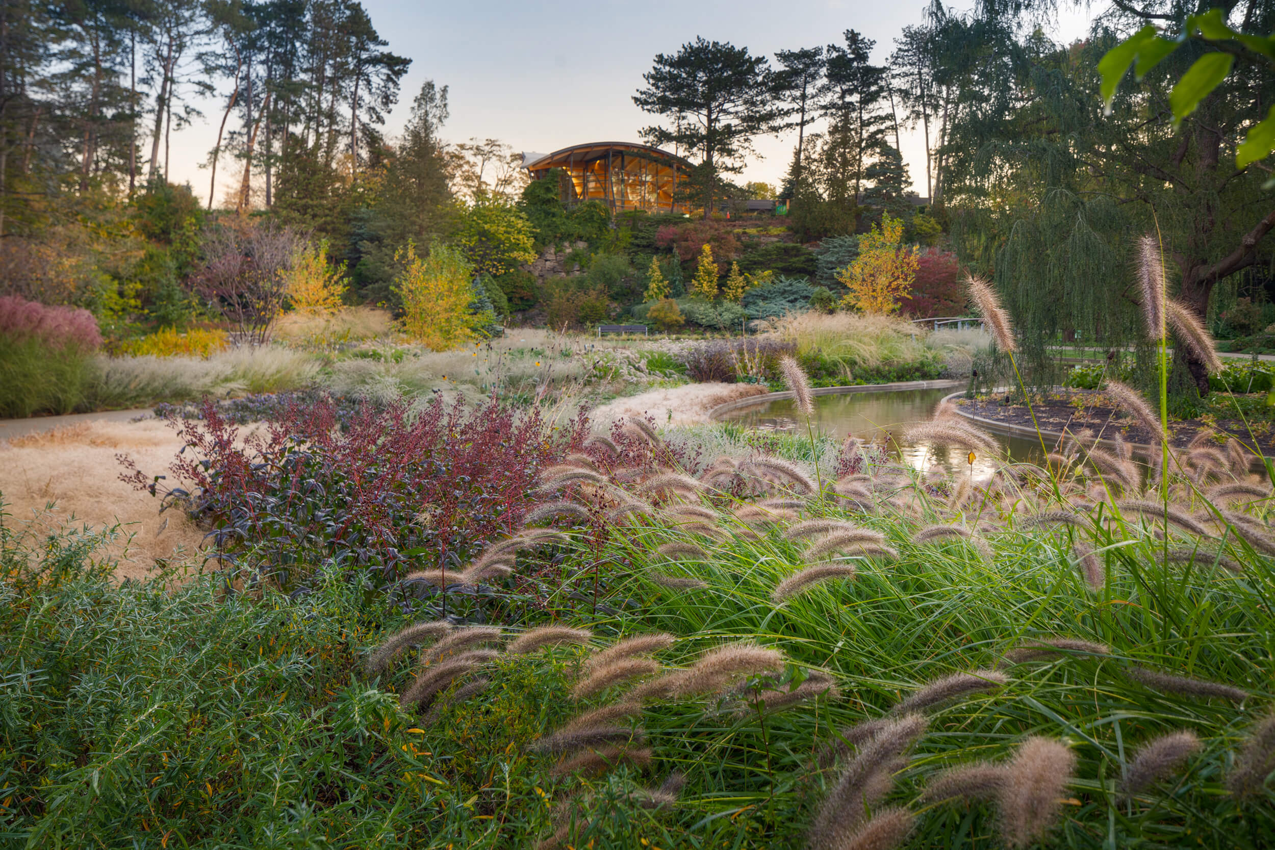 Janet Rosenberg & Studio